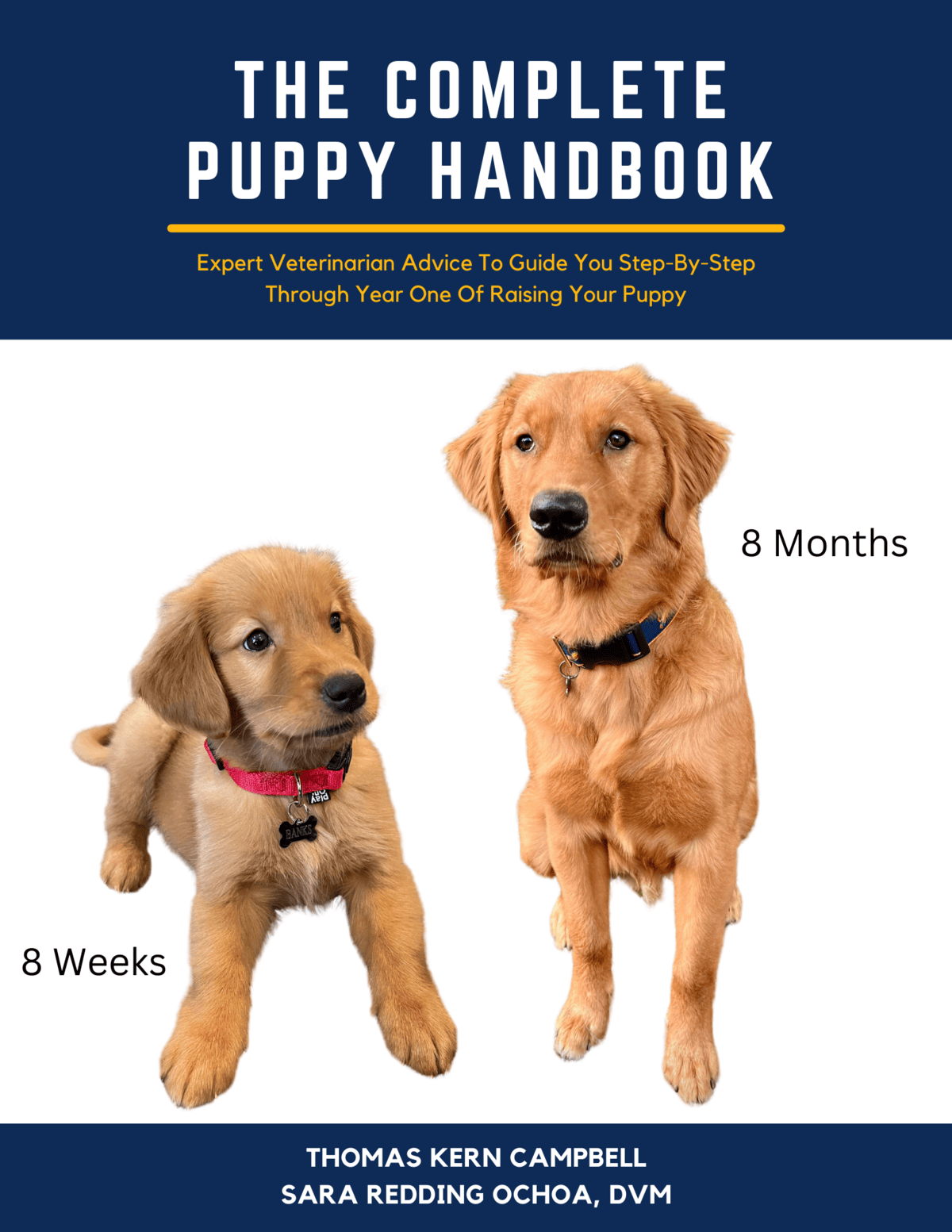 Puppy Book - Retriever Advice